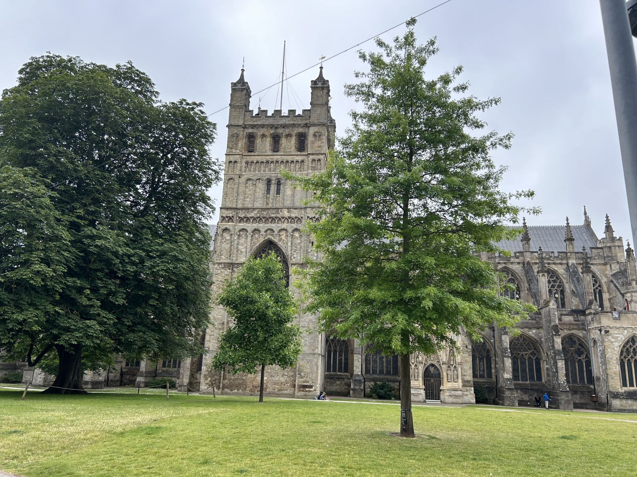 Exeter Cathedral’s swift boxes are now in situ! - Orbis Ecology